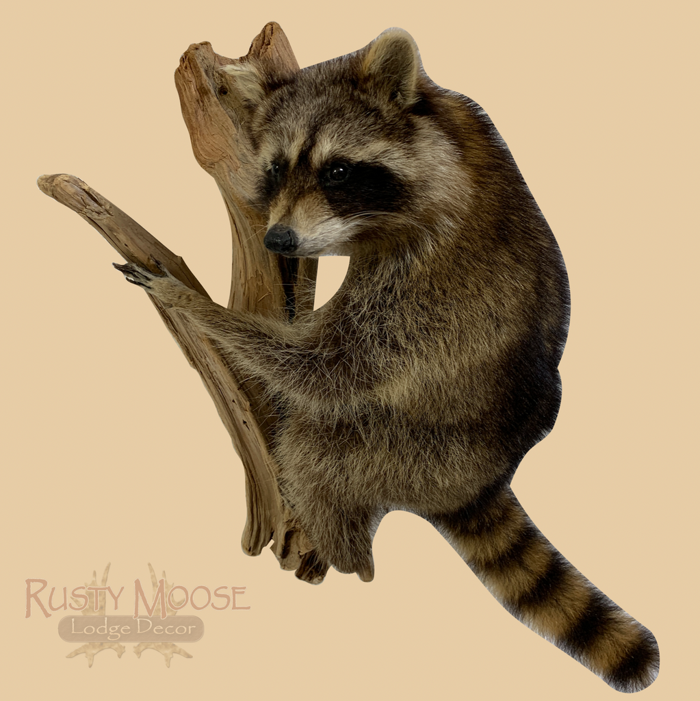 Rusty Moose Lodge Decor Springfield Missouri | Shelly Lighting